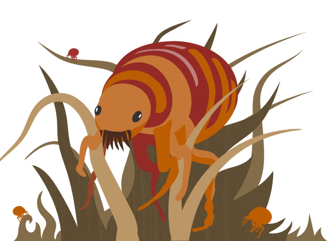 Rebranding for Colonial Pest | Jackrabbit Design