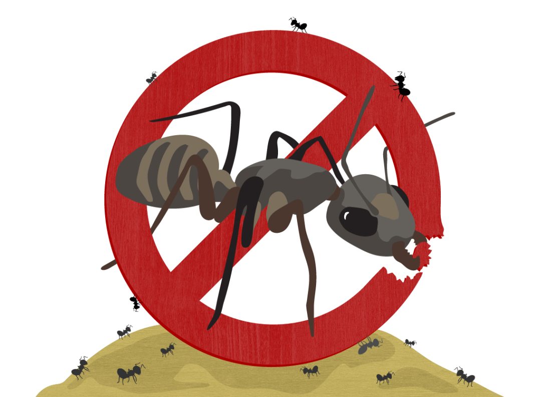 Rebranding for Colonial Pest | Jackrabbit Design